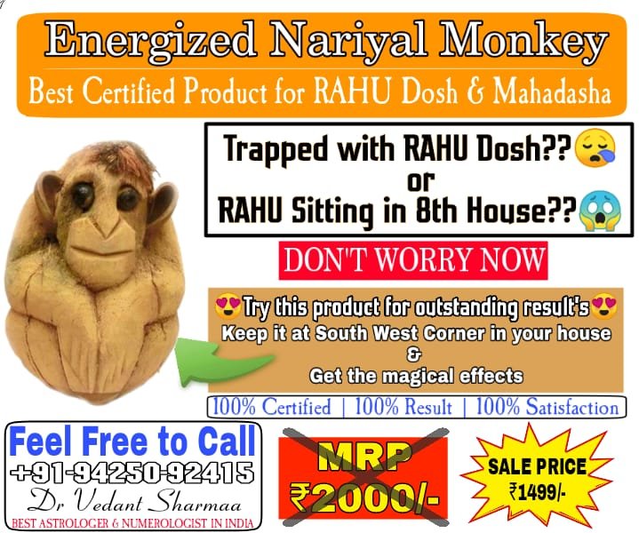 Coconut Monkey - Online Best Astrologer in India